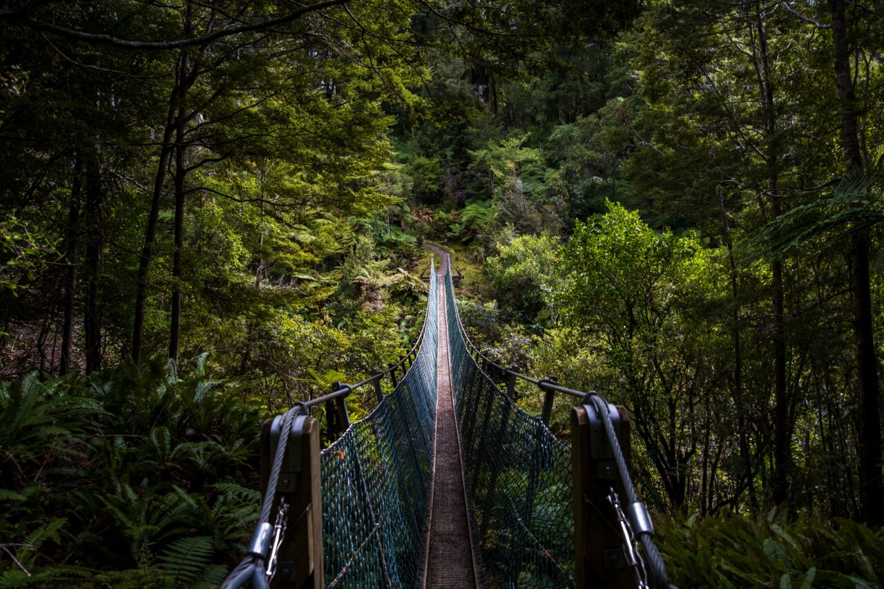 【面白い数学の問題】吊り橋を最も早く渡る方法は？